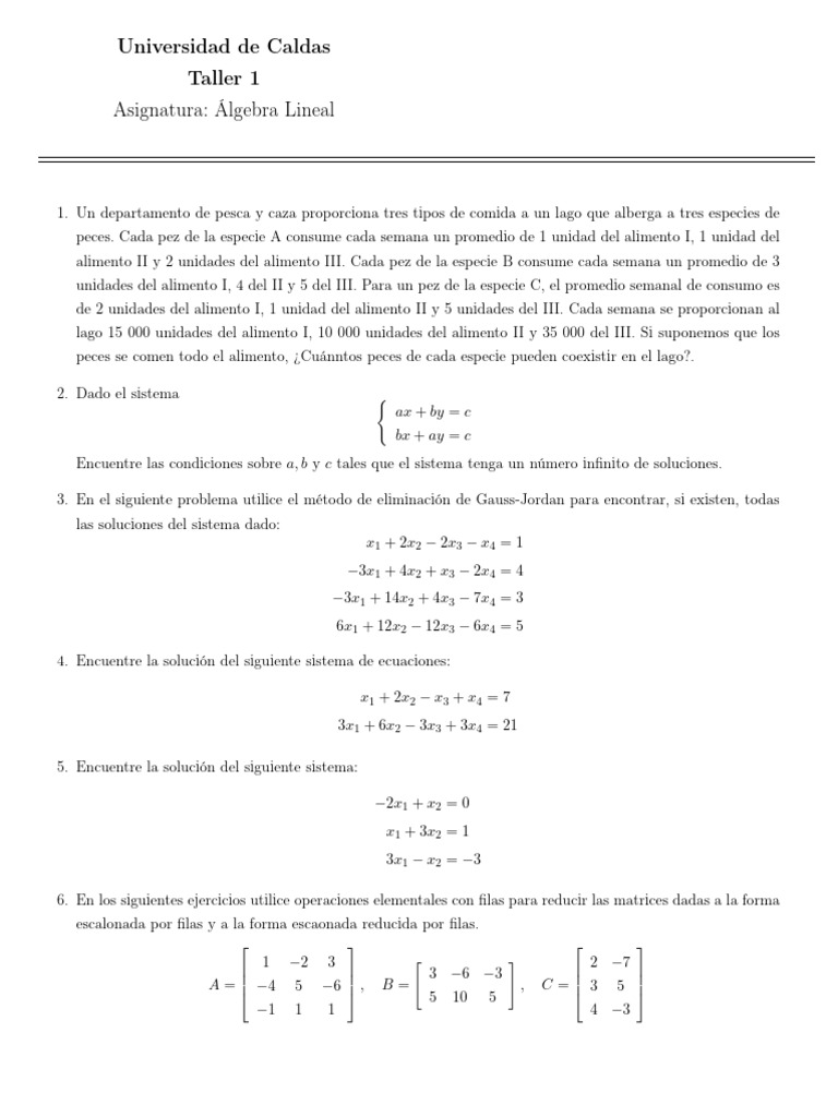 taller_matrices (1) (1) | PDF | Matriz (Matemáticas) | Conceptos matemáticos