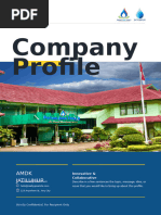 Annual: Ingoude Company | PDF | Creativity | Business