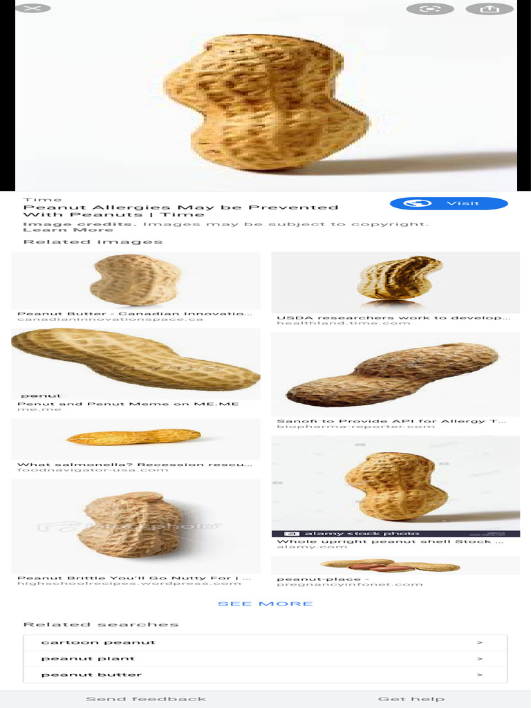 Peanut - Google Search | PDF