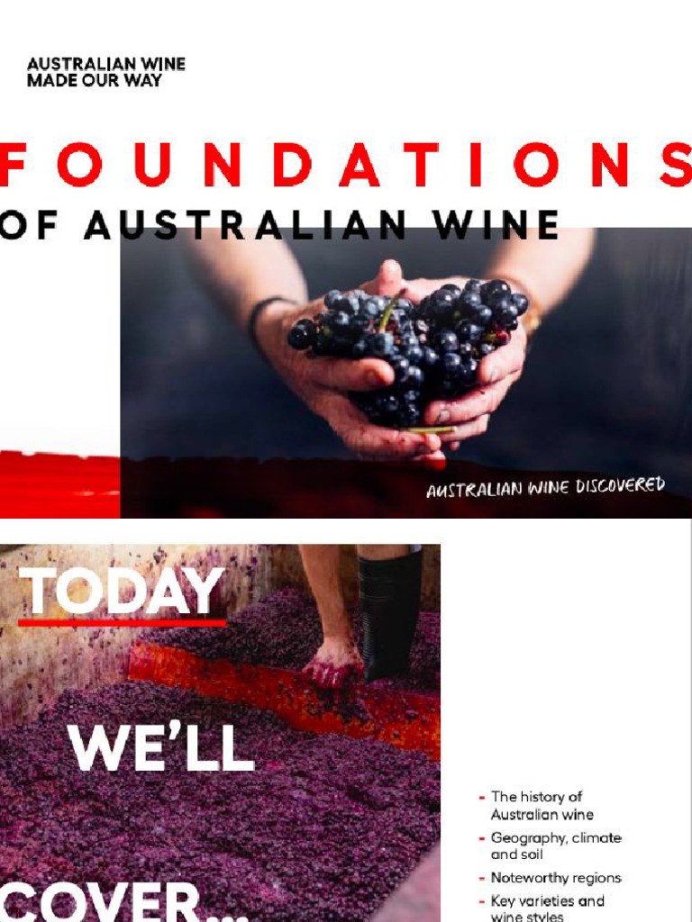 Circuito Productivo del Vino en Australia | PDF | Vino | Australia