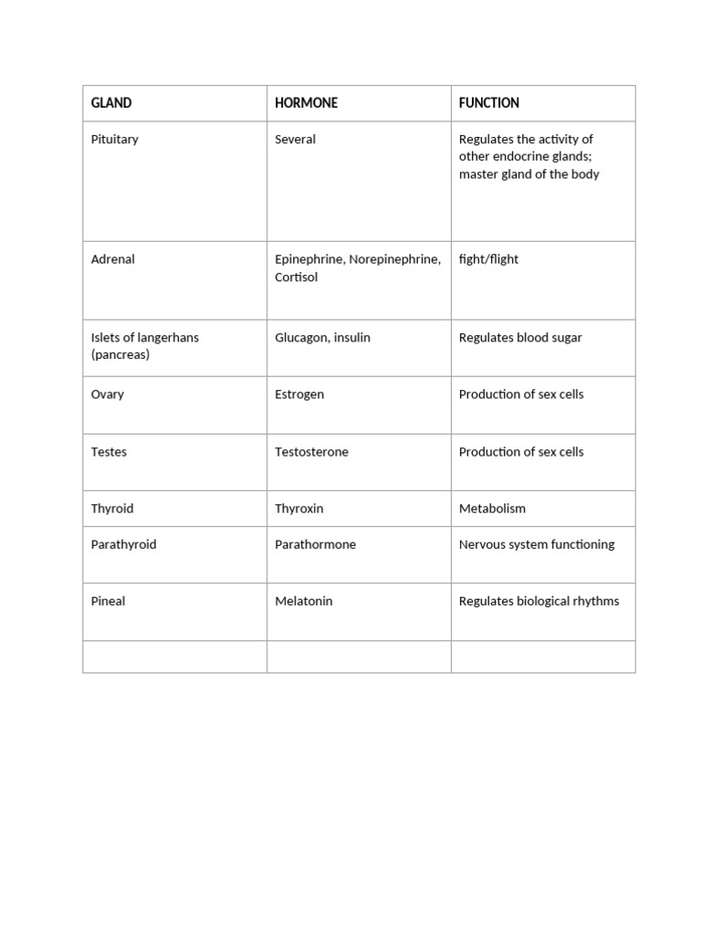 The Endocrine Glands-Notes | PDF