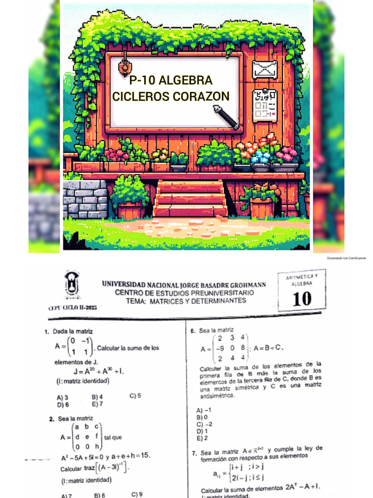 P10--ALGEBRA | PDF
