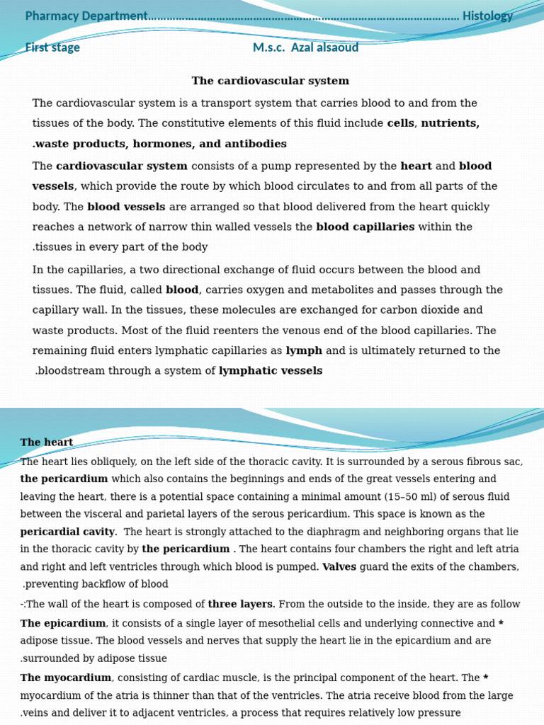 Cardiovascular System Overview | PDF | Artery | Vein
