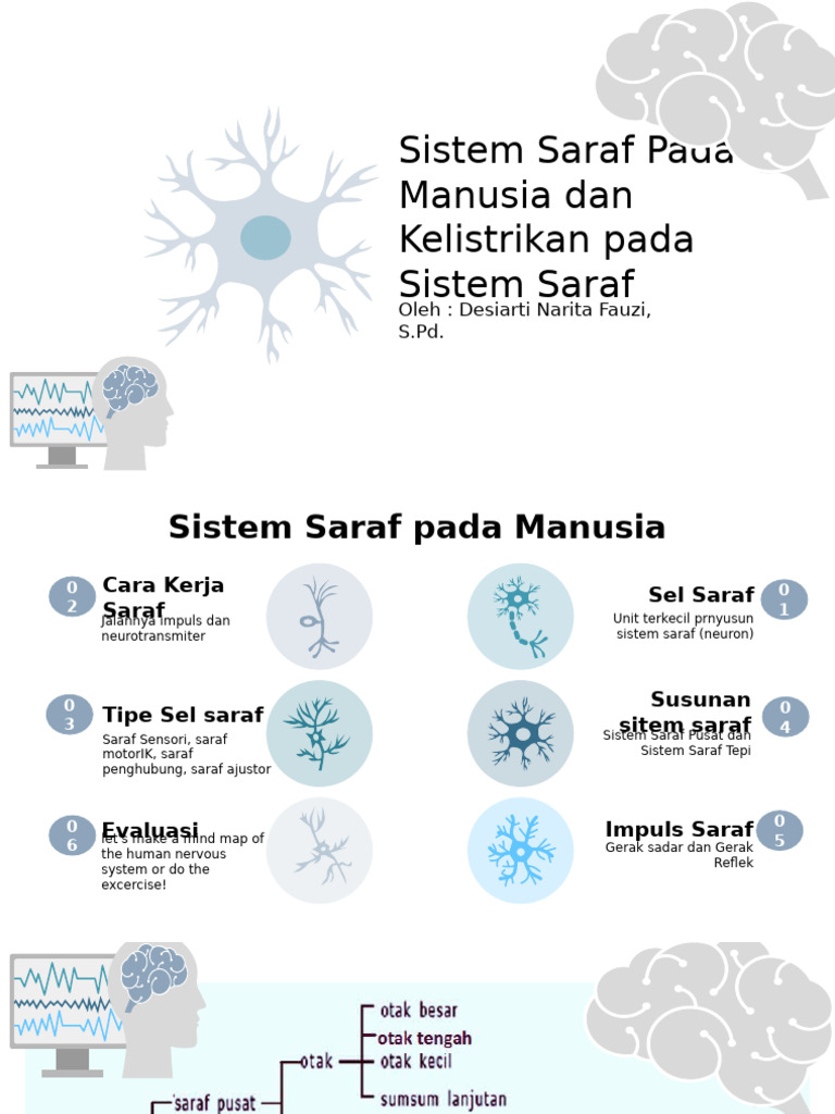 Sistem Saraf Manusia: Struktur dan Fungsi | PDF