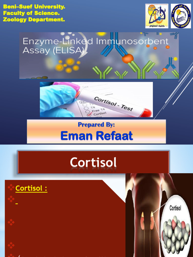 Endo. Section (5) | PDF | Cortisol | Adrenal Gland