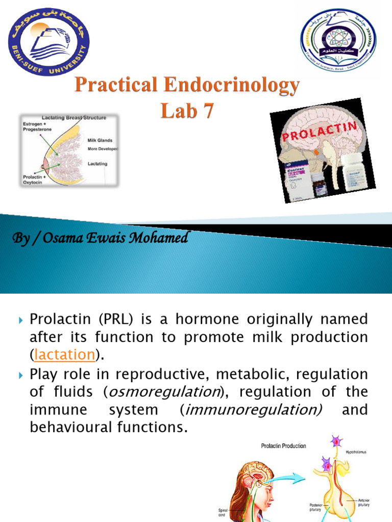 Endo. Section (7) Part 1 | PDF | Lactation | Medical Specialties