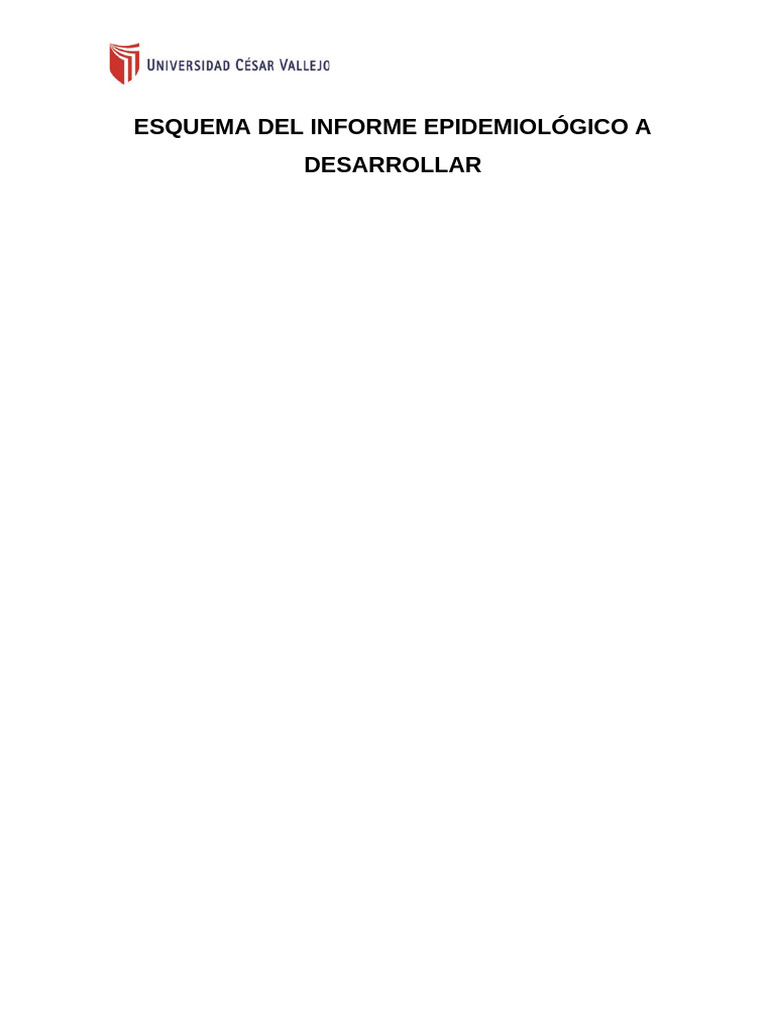 Esquema de Informe 2024 II | PDF | Epidemiología