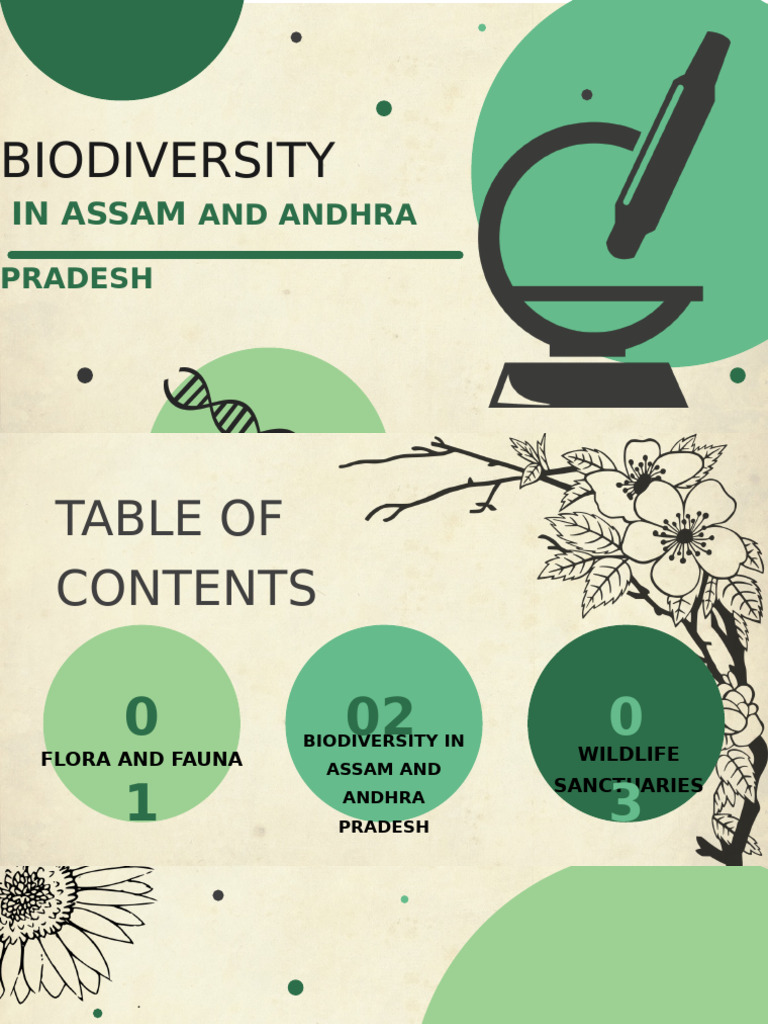 Biology Art Integration | PDF | Plants | Forests