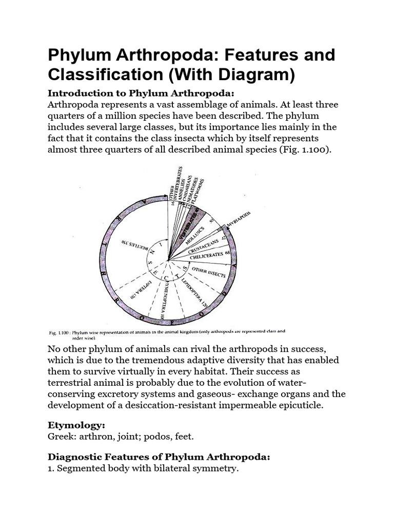 Phylum Arthropoda | PDF | Crustacean | Arthropods