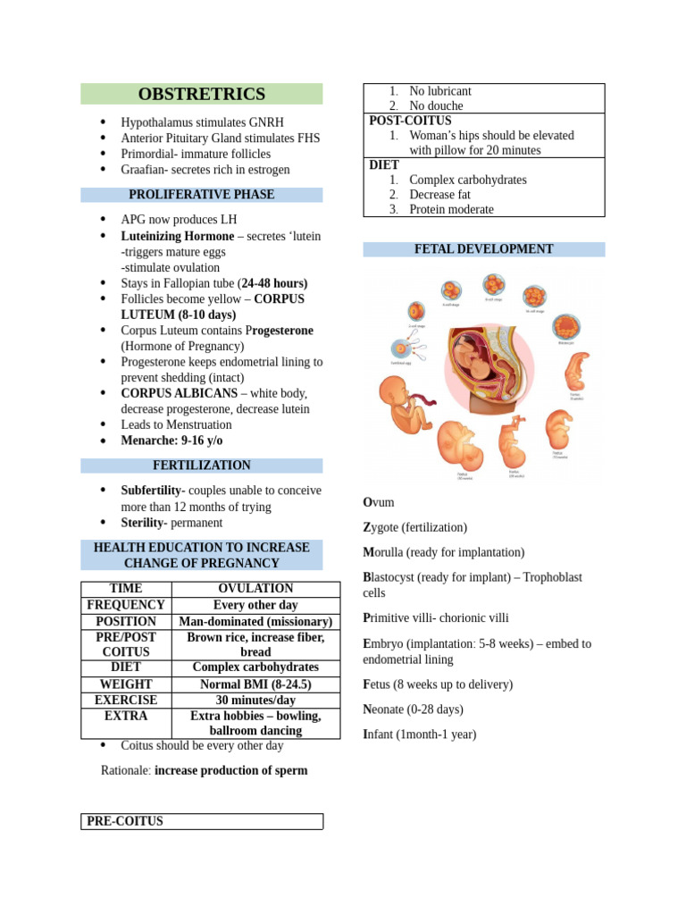 Review Transes-Obstretrics | PDF | Medical Specialties | Human Reproduction