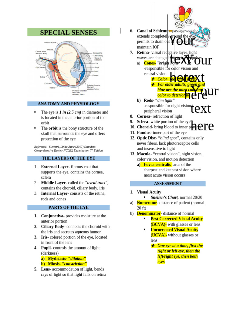 Review Transes - Special Senses | PDF | Ear | Glaucoma