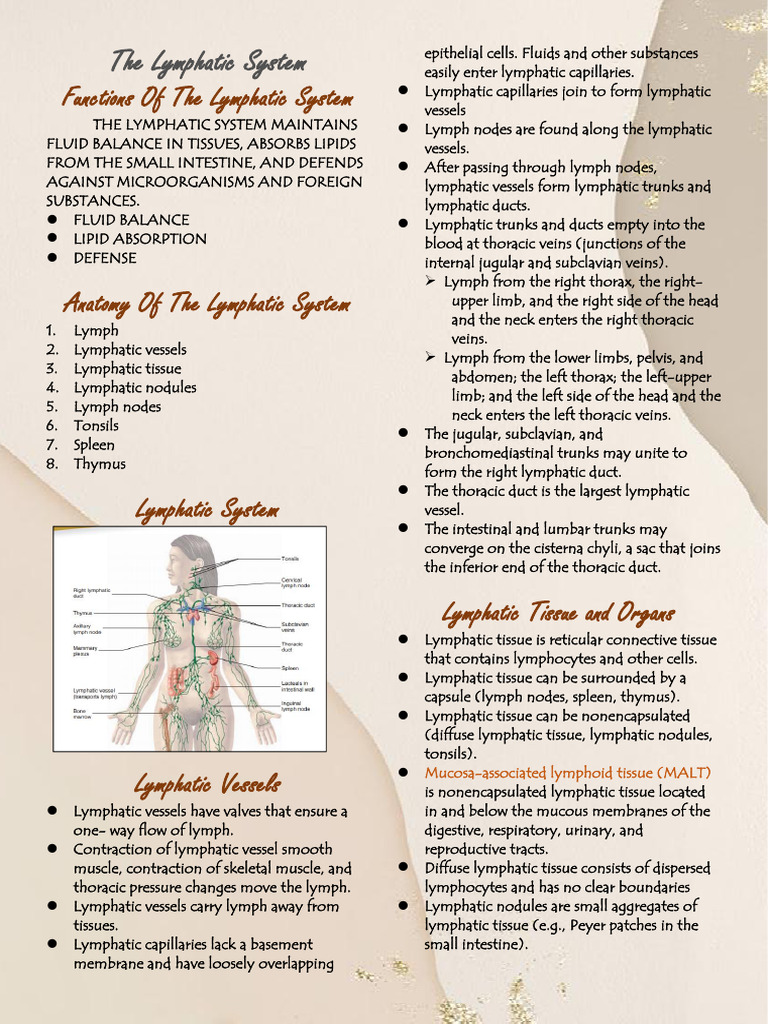 The-Lymphatic-and-Body-Defense_TRANSES | PDF | Lymphatic System ...