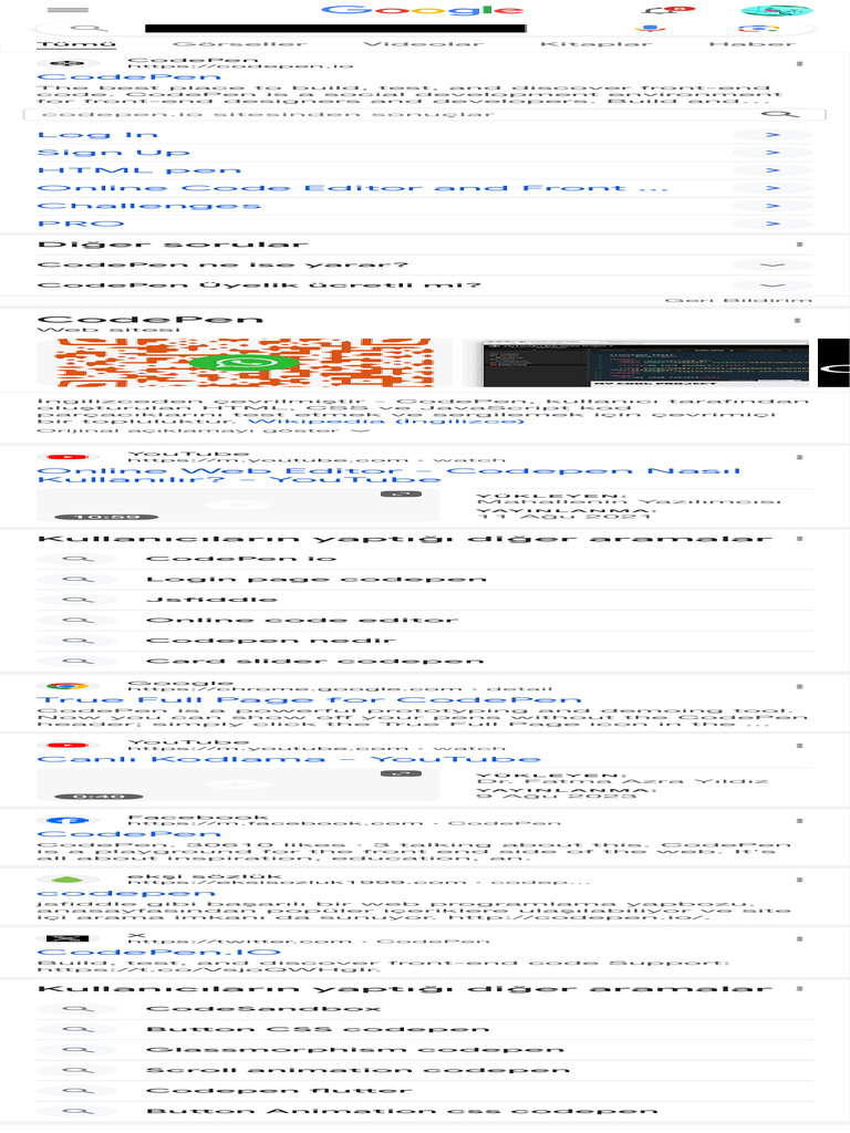 Codepen - Google'da Ara | PDF
