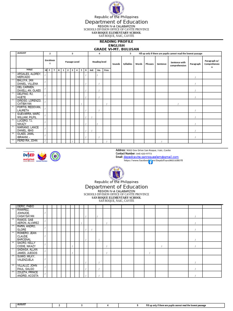 San Roque Elementary School Reading Profile | PDF | Written ...