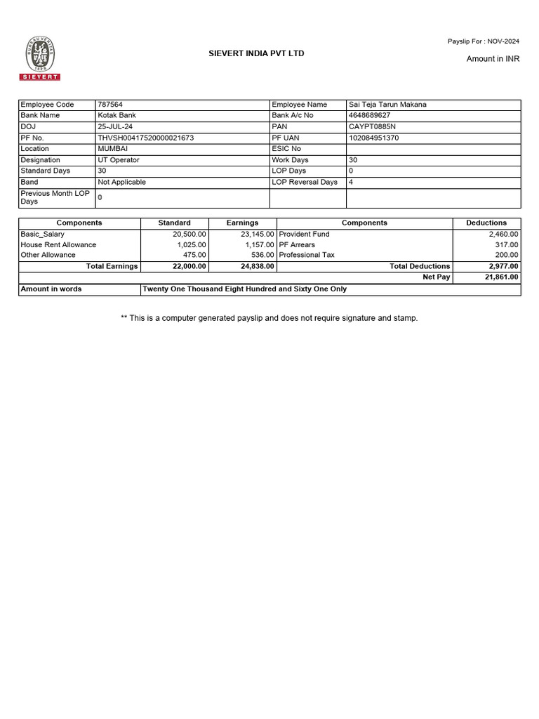 Nov 2024 Payslip | PDF