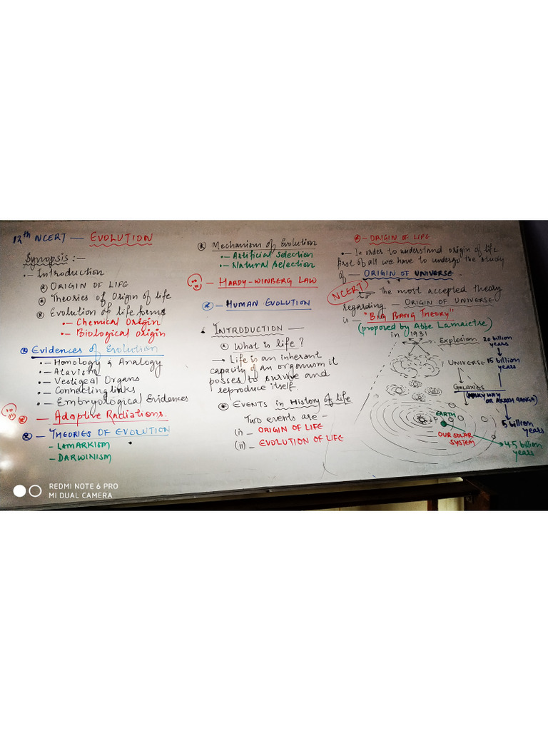 Evolution Part 1 | PDF