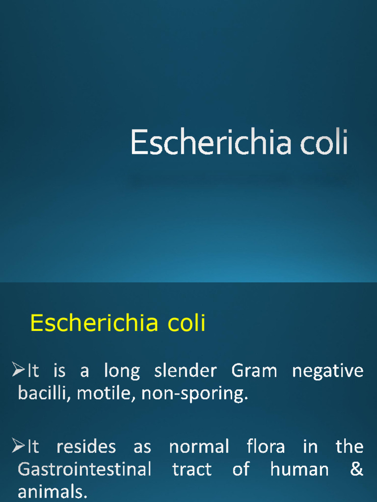 Escherichia Coli | PDF