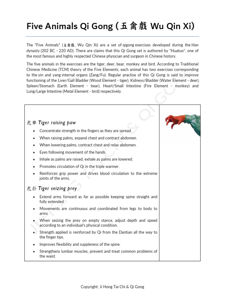 Wu Qin Xi | PDF | Traditional Chinese Medicine