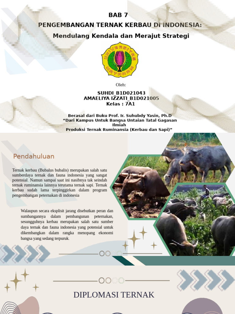 Pengembangan Kerbau di Indonesia | PDF