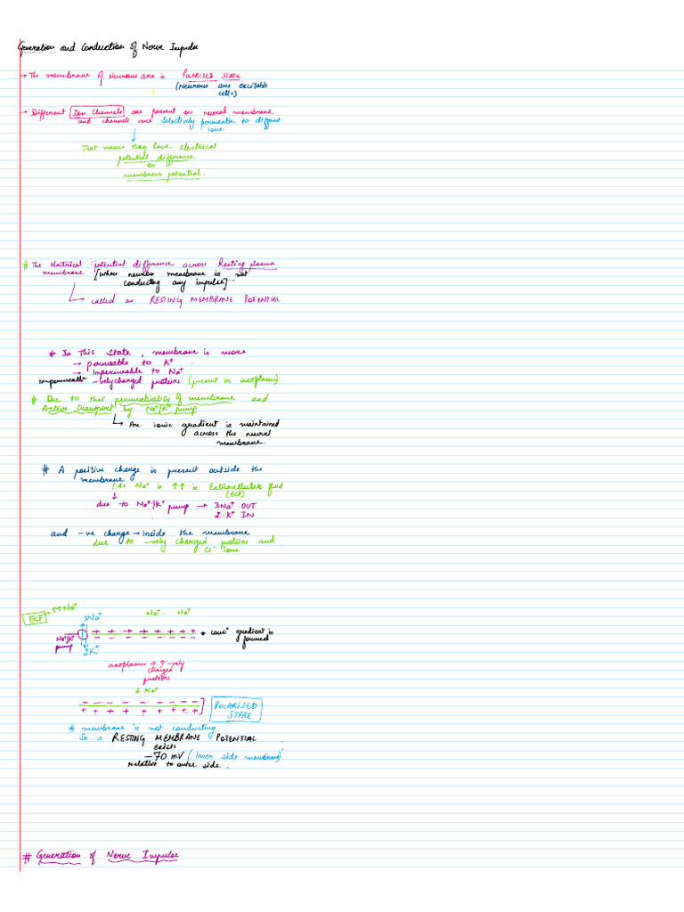 Neural System. Generation and Conduction of Nerve Impulse | PDF