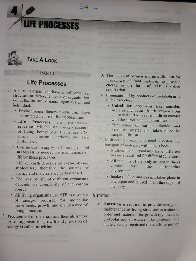 TARGET SCIENCE Guide Class X | PDF