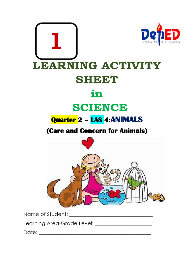 WORKSHEET Q2 WEEK 4 | PDF | Pet | Insects