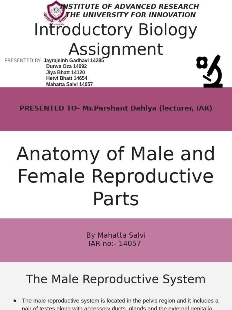 Intro Bio Assignment | PDF | Luteinizing Hormone | Meiosis