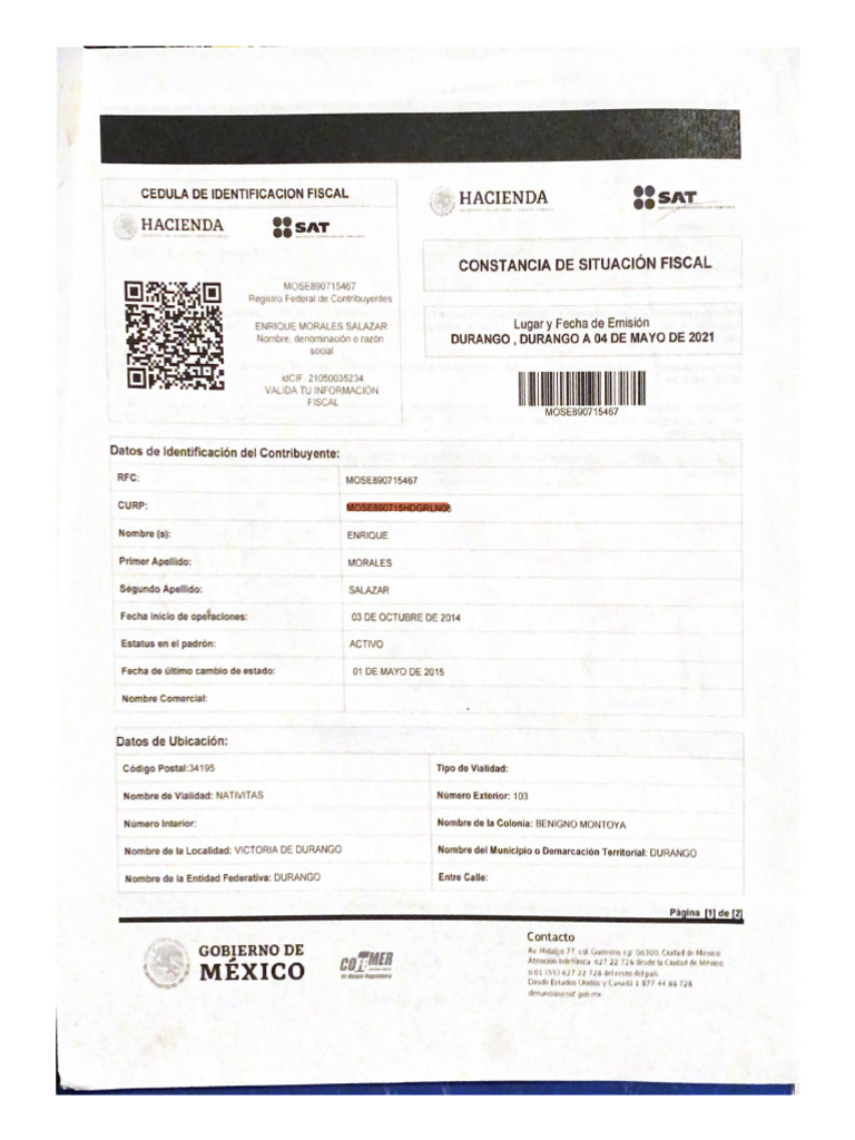 Cedula de Identificacion Fiscal | PDF