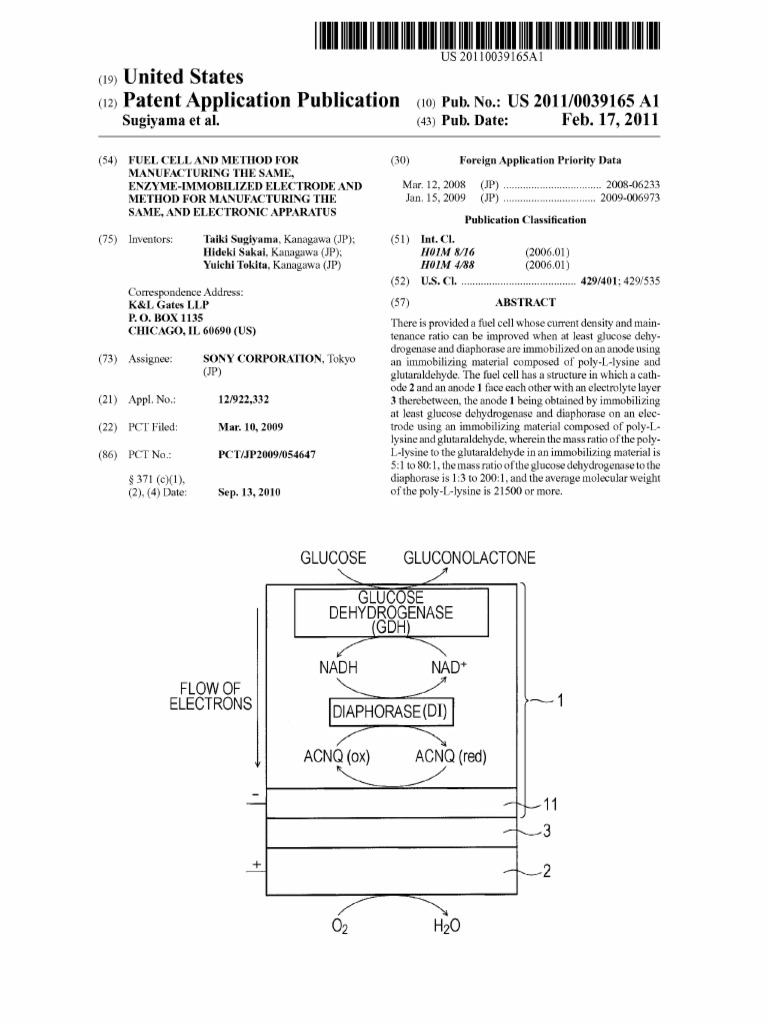 Fuel Cell Manufacturing Method | PDF | Nicotinamide Adenine ...