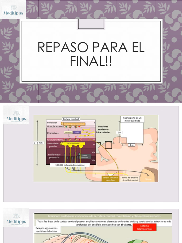 Repaso Final | PDF