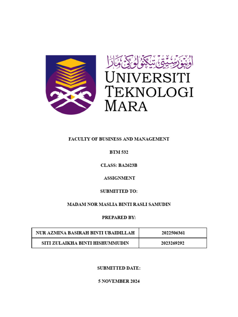 BTM 532 Assignment | PDF