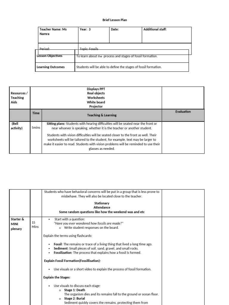 lesson plan-1- Fossils formation (1) | PDF | Fossil | Clay
