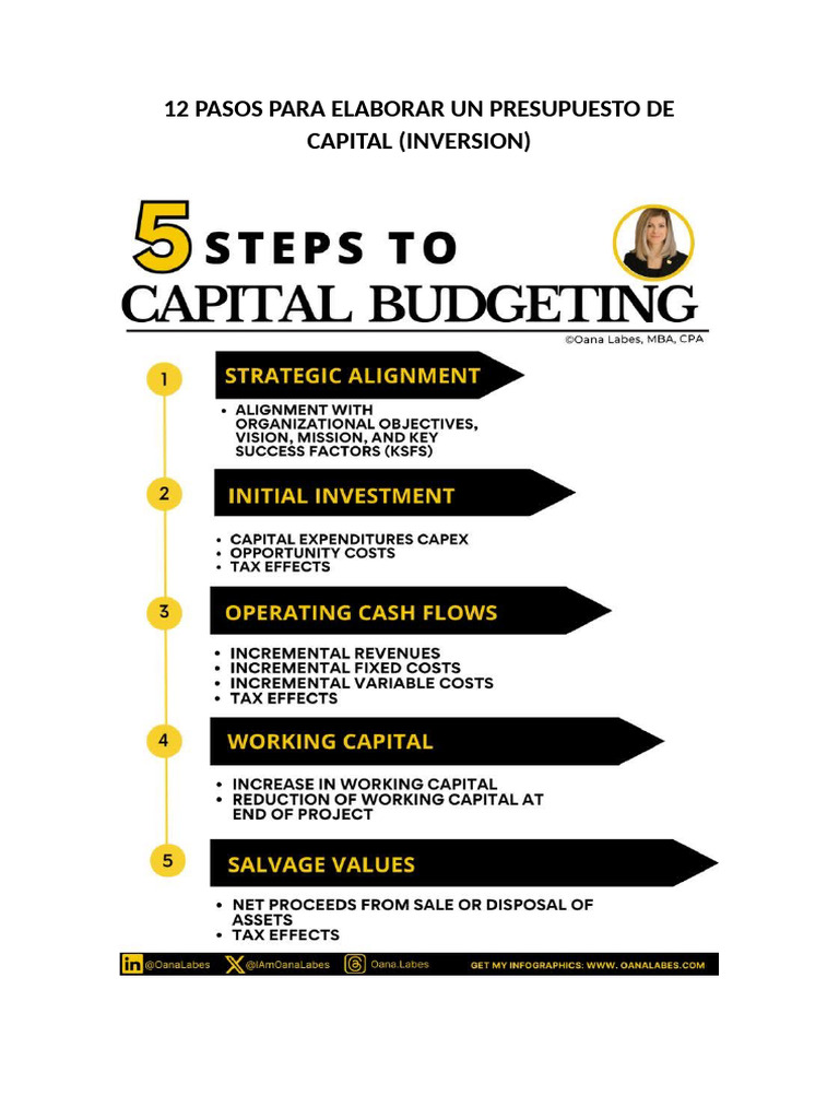 (Capex) 12 Pasos para Elaborar Un Presupuesto de Capital | PDF | Presupuesto | Valor presente neto