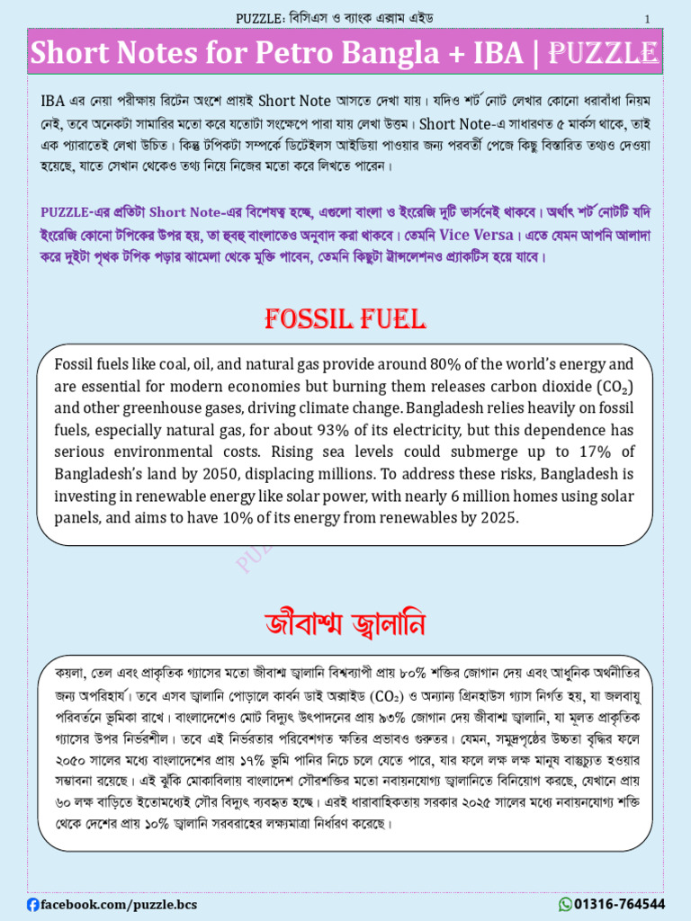 Fossil Fuel - PUZZLE | PDF