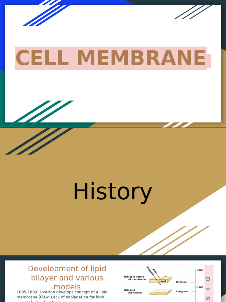 Cell Membrane1 | PDF | Cell Membrane | Lipid Bilayer