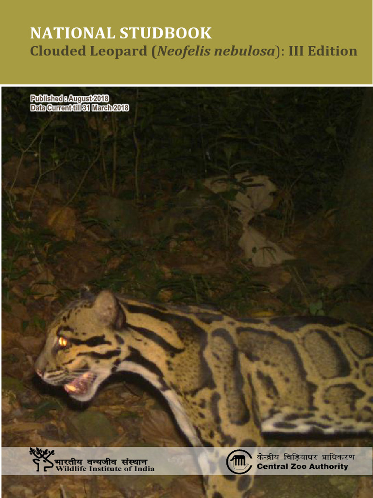 Clouded Leopard (Neofelis Nebulosa) | PDF