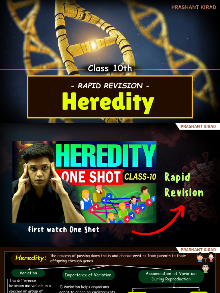 Rapid Revision - Heredity | PDF | Dominance (Genetics) | Zygosity