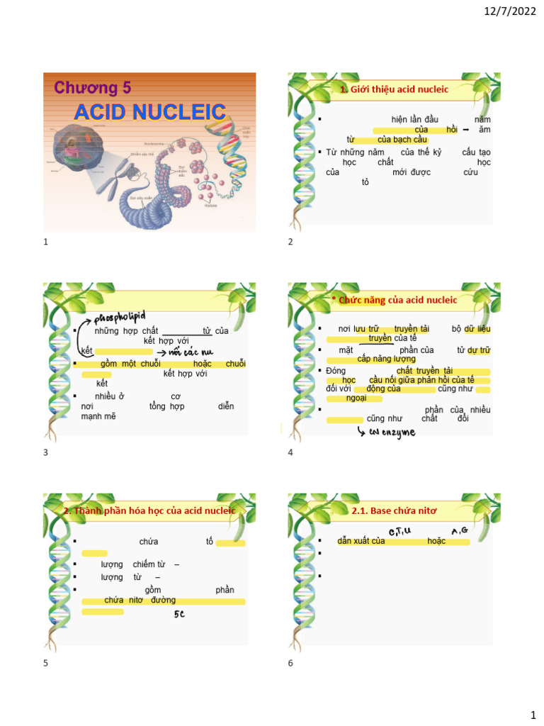 5-Acid Nucleic | PDF