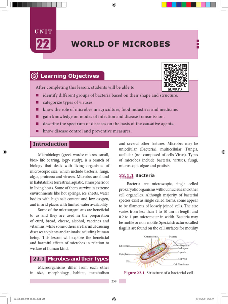 Selfstudys Com File | PDF | Cell (Biology) | Bacteria
