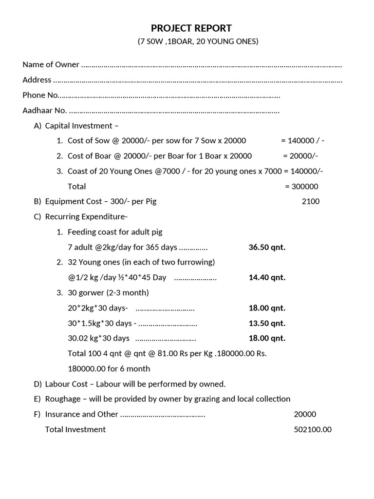 Project Report Pig Loan Mudra | PDF | Pig | Economies