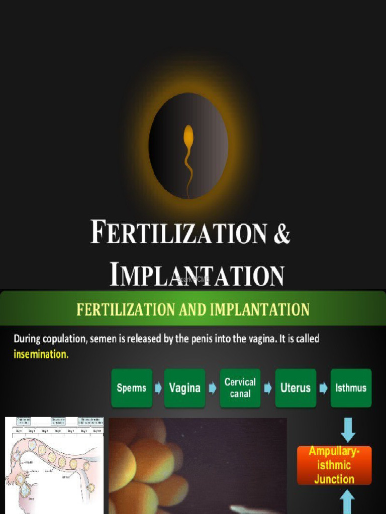 fertilization and implantation | PDF