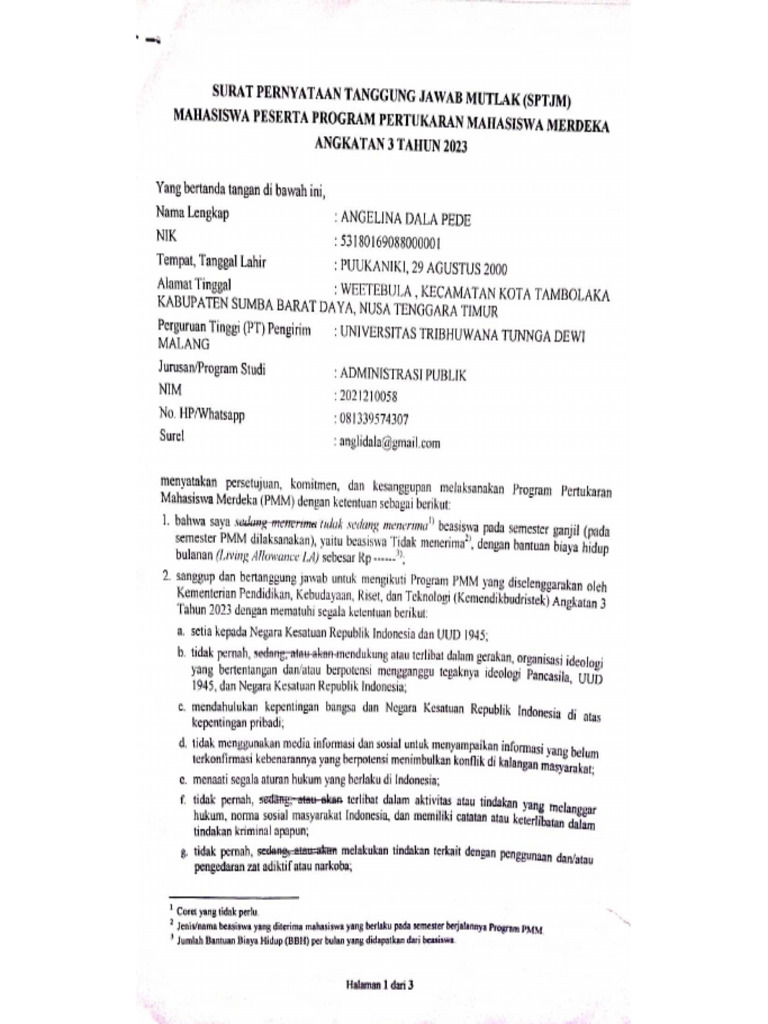 SPTJM Angelina 1 - Compressed | PDF