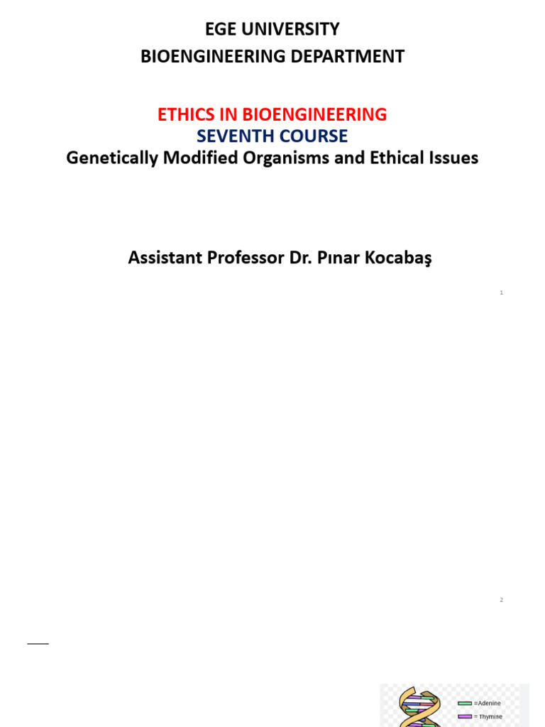 Ethical Issues in Genetic Engineering | PDF | Genetic Engineering ...