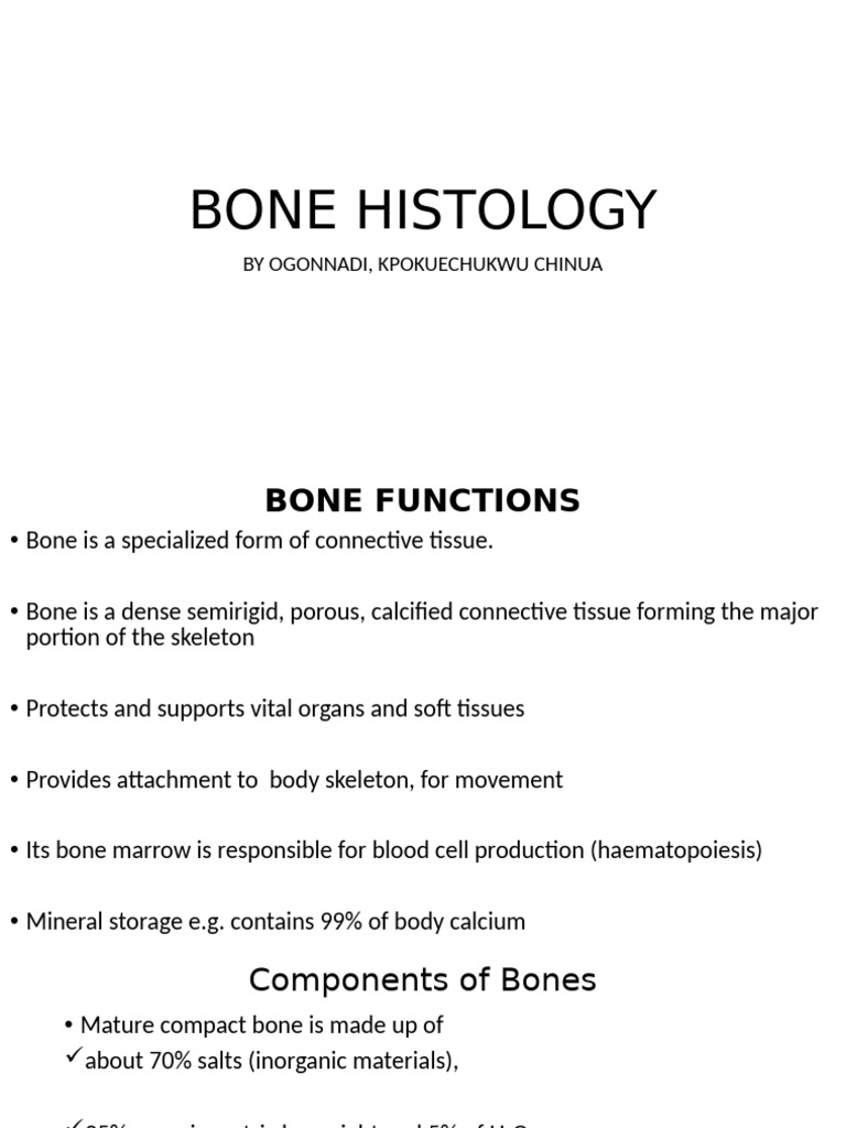 Bone Histology and Cell Types | PDF | Bone | Osteoblast