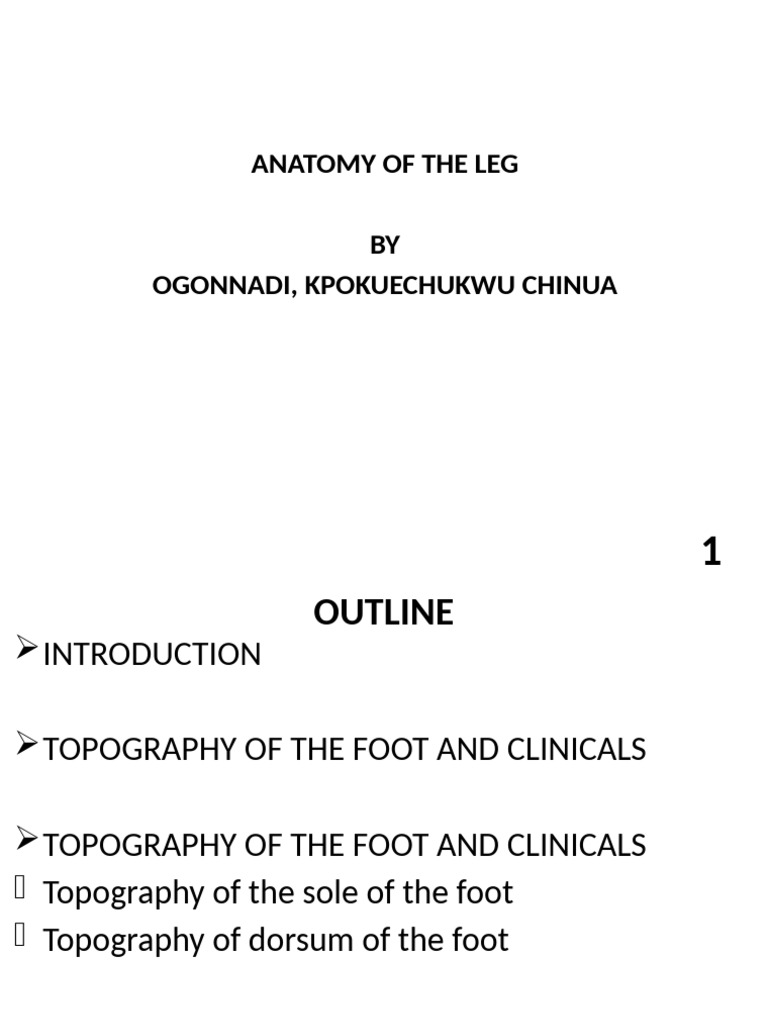 Anatomy of The Leg (Posterior, Lateral and Anterior Compartments) | PDF ...