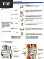Vestimenta. Barroca. Hombre-Mujer | PDF | Barroco | Ropa
