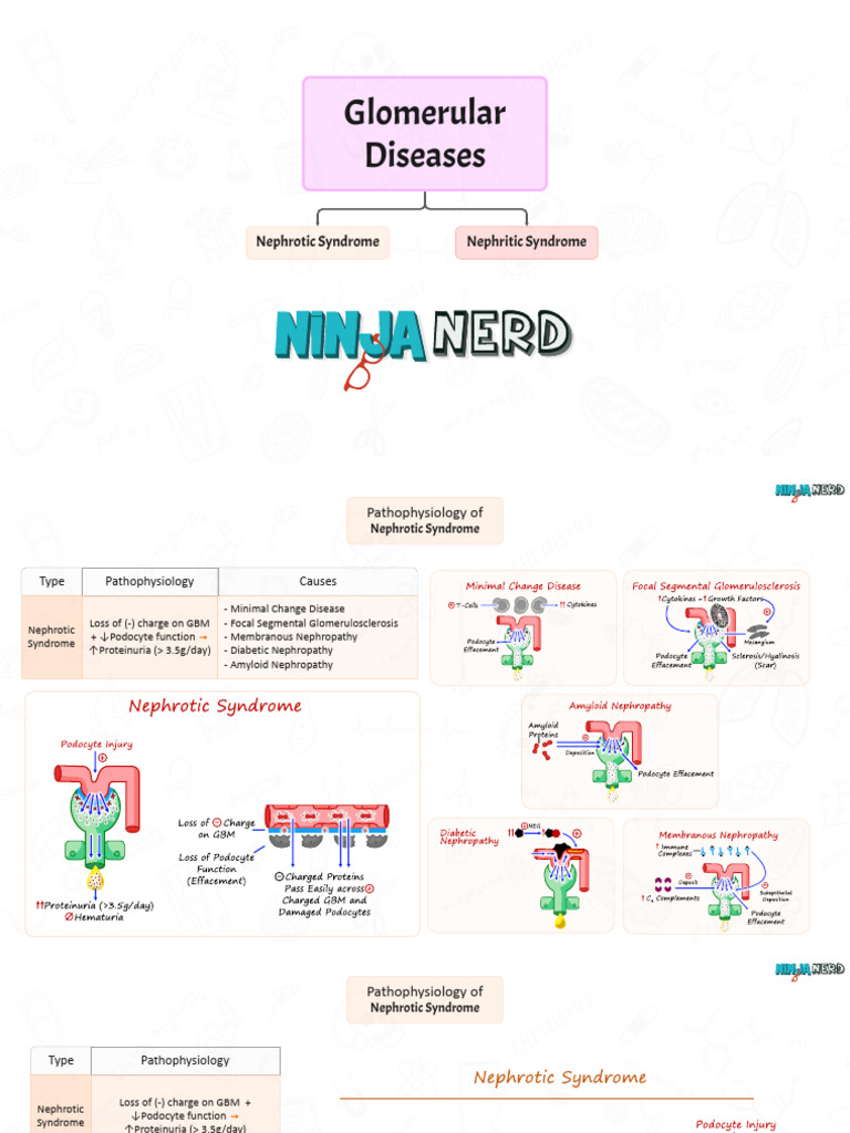 Glomerular Diseases (Slides) | PDF | Kidney Disease | Edema