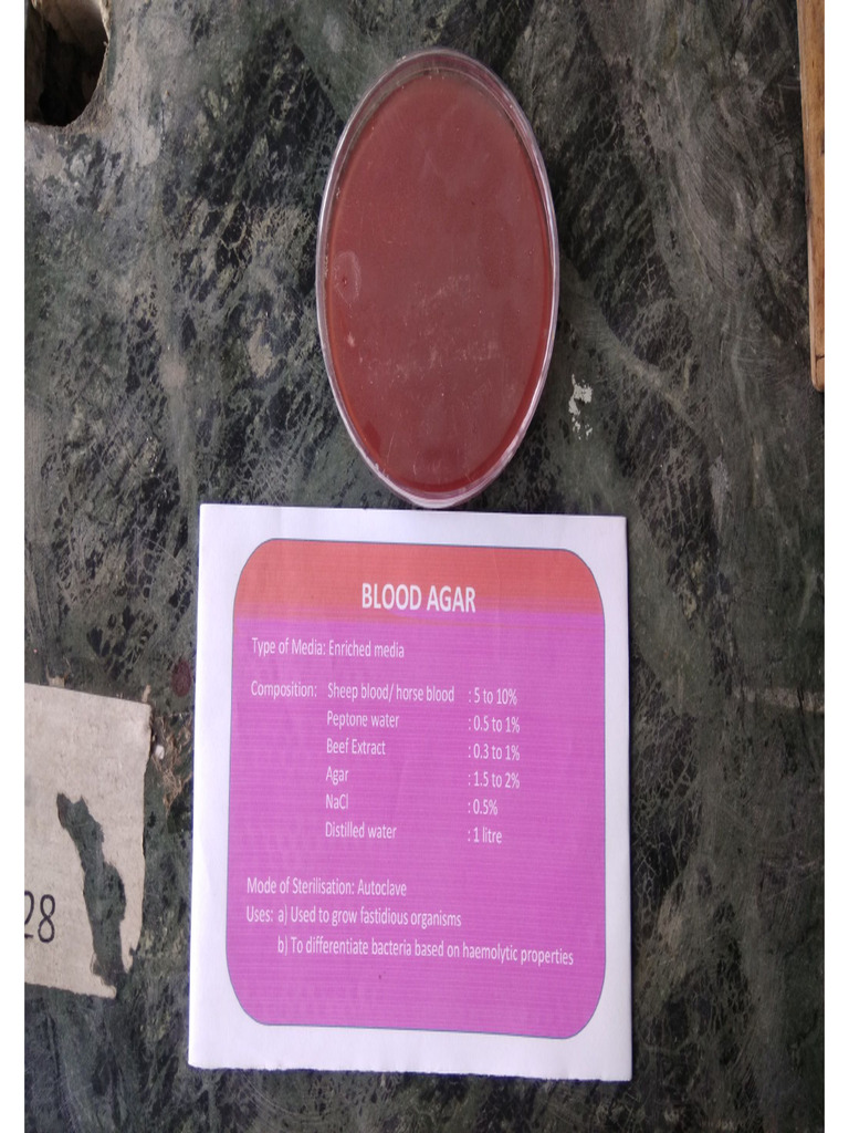 Microbiology Culture Medium | PDF