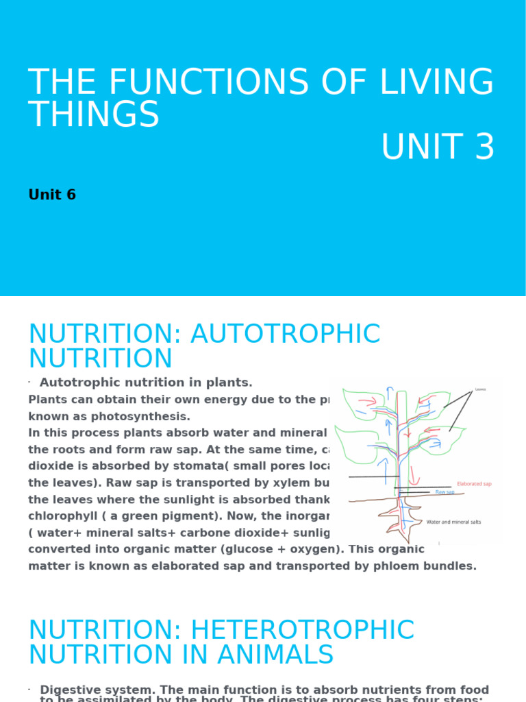 Functions of Living Things 6 | PDF | Nutrition | Diet & Nutrition