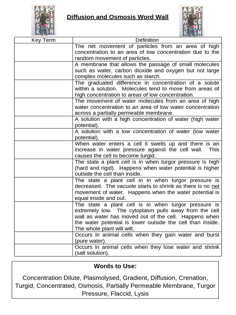 Diffusion and Osmosis Word Wall | PDF | Osmosis | Cell Biology